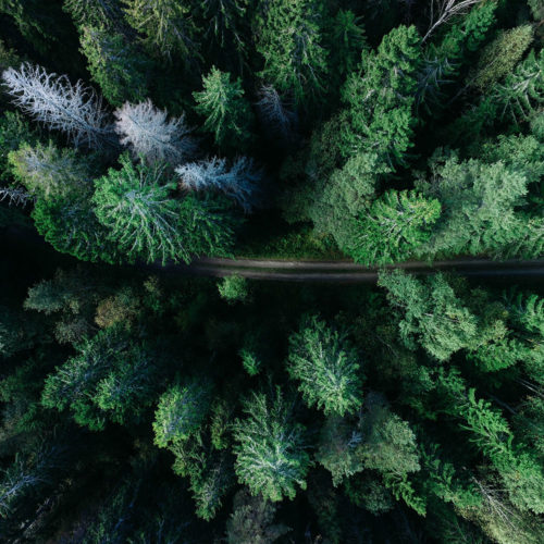 Evergreen - Equinox Open Library Initiative